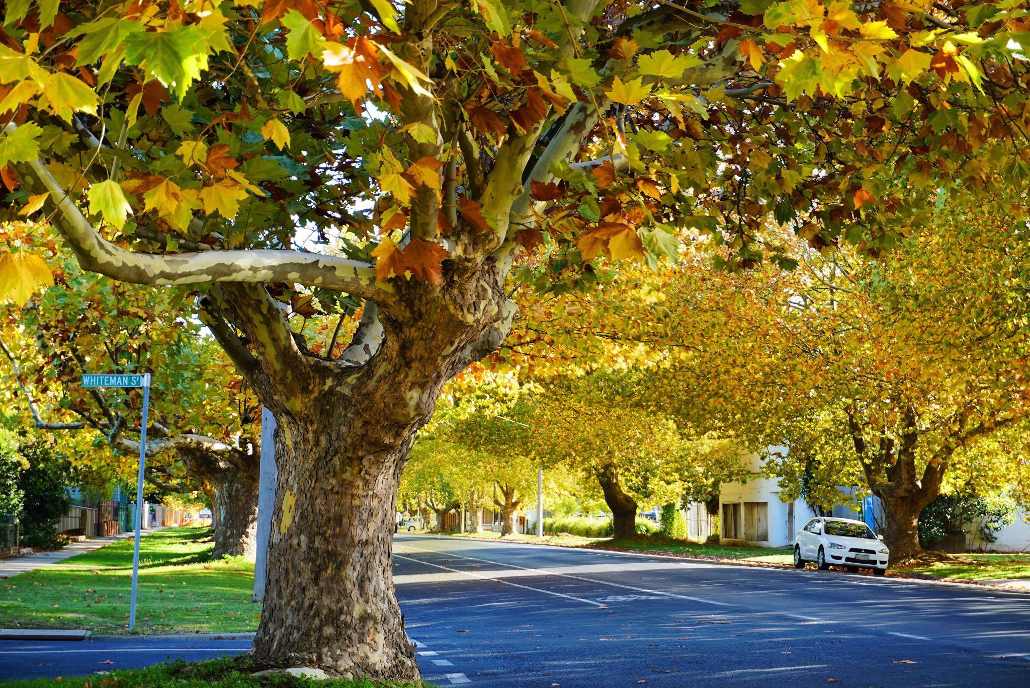 Visit our towns | Discover Mitchell | Mitchell Shire Council