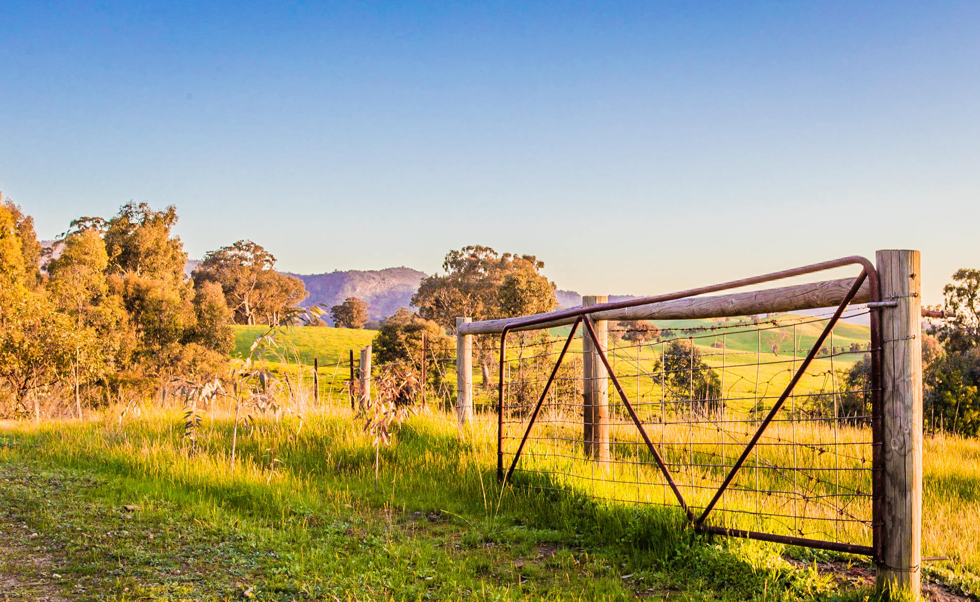 Land management, conservation and weed control | Environment and ...