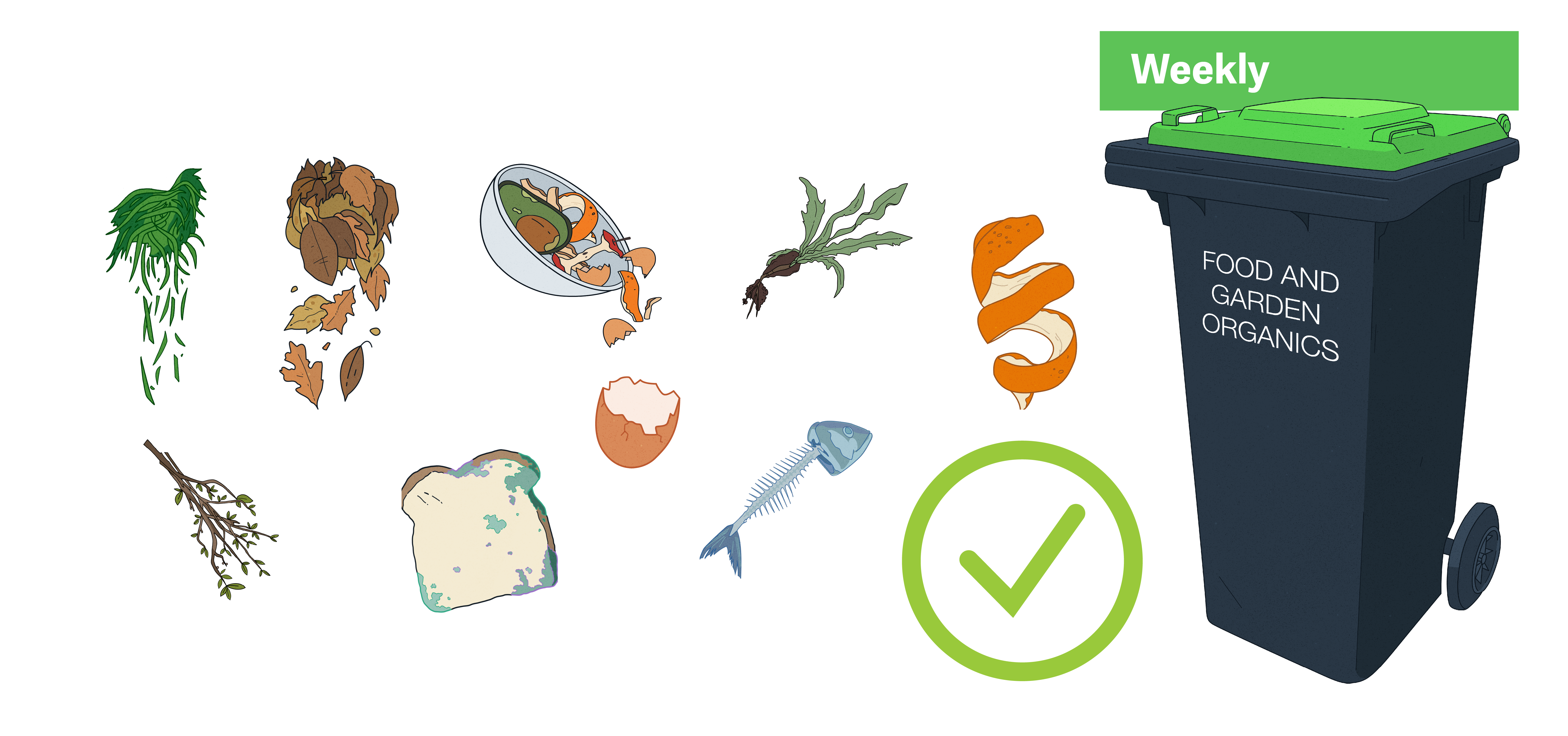 Food and garden organics bin (green lid) | Learn about each bin type ...