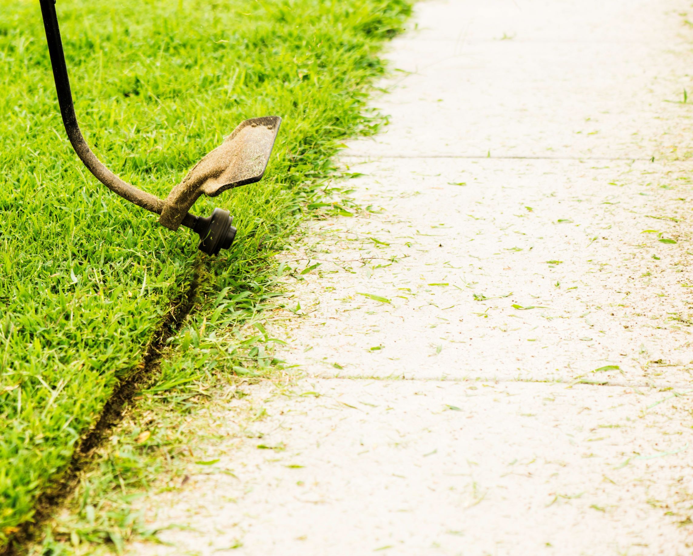 Nature strips | Trees , weeds and nature strips | Mitchell Shire Council